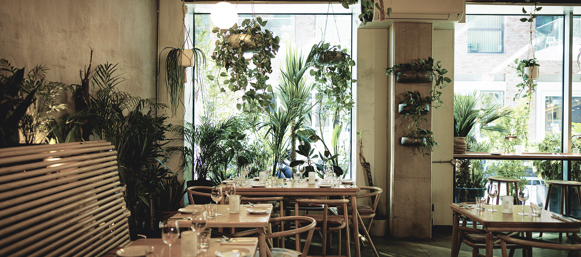 Amber - Middle Eastern - Mediterranean - All-day Dining